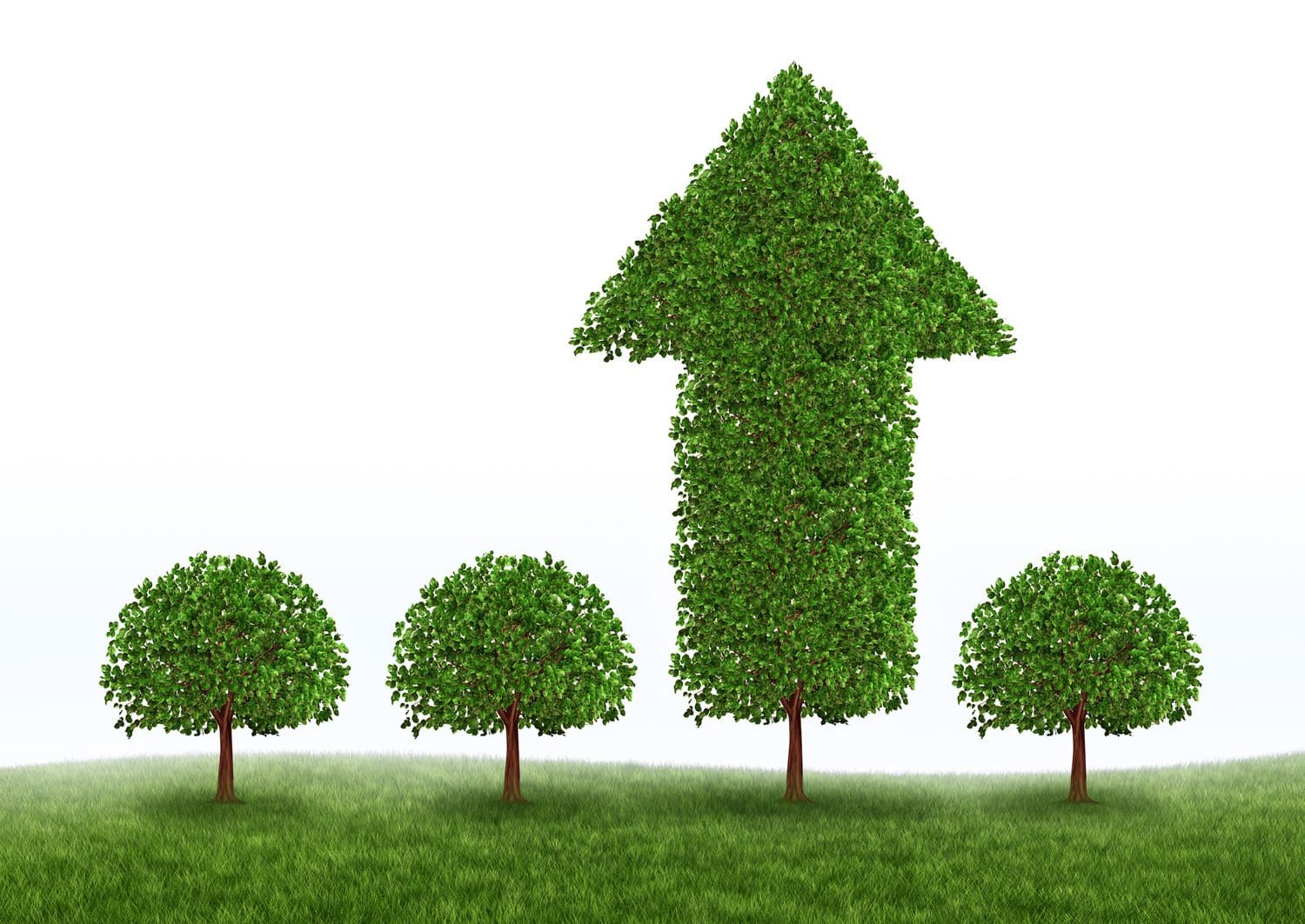 Investing in Cyclical and Non-Cyclical Stocks: How It Works